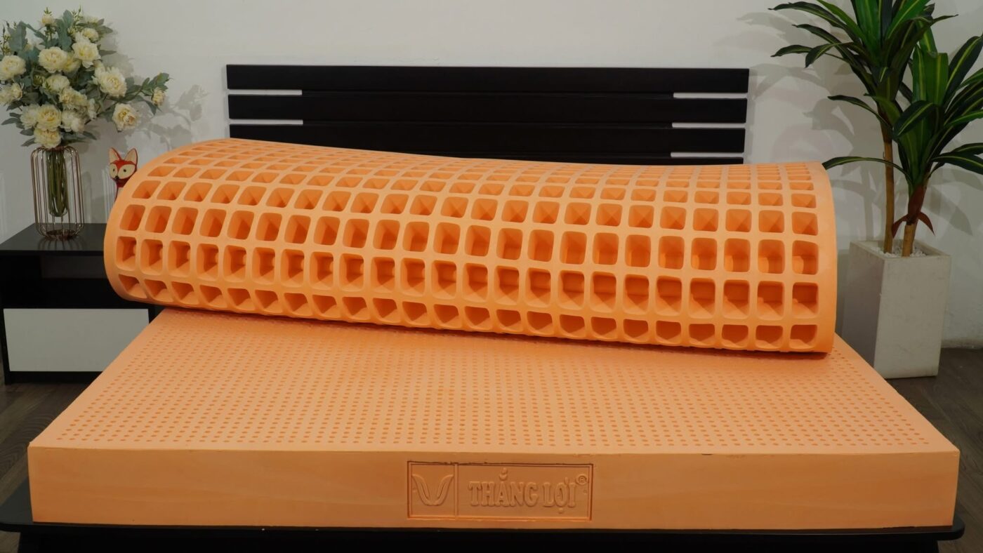 NỆM 100% CAO SU THIÊN NHIÊN THẮNG LỢI SUSU – ORIGINAL - NỆM THẮNG LỢI ...